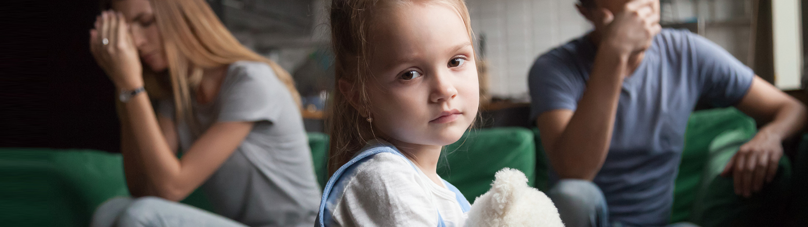 Somerset County Parental Rights Lawyers - Steven H. Fleischer Law Firm ...