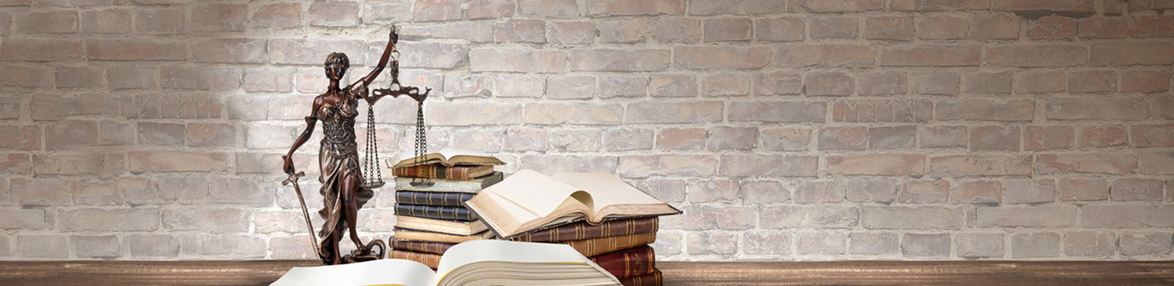 Steven H. Fleischer - Steven H. Fleischer Law Firm | Law Firm in ...